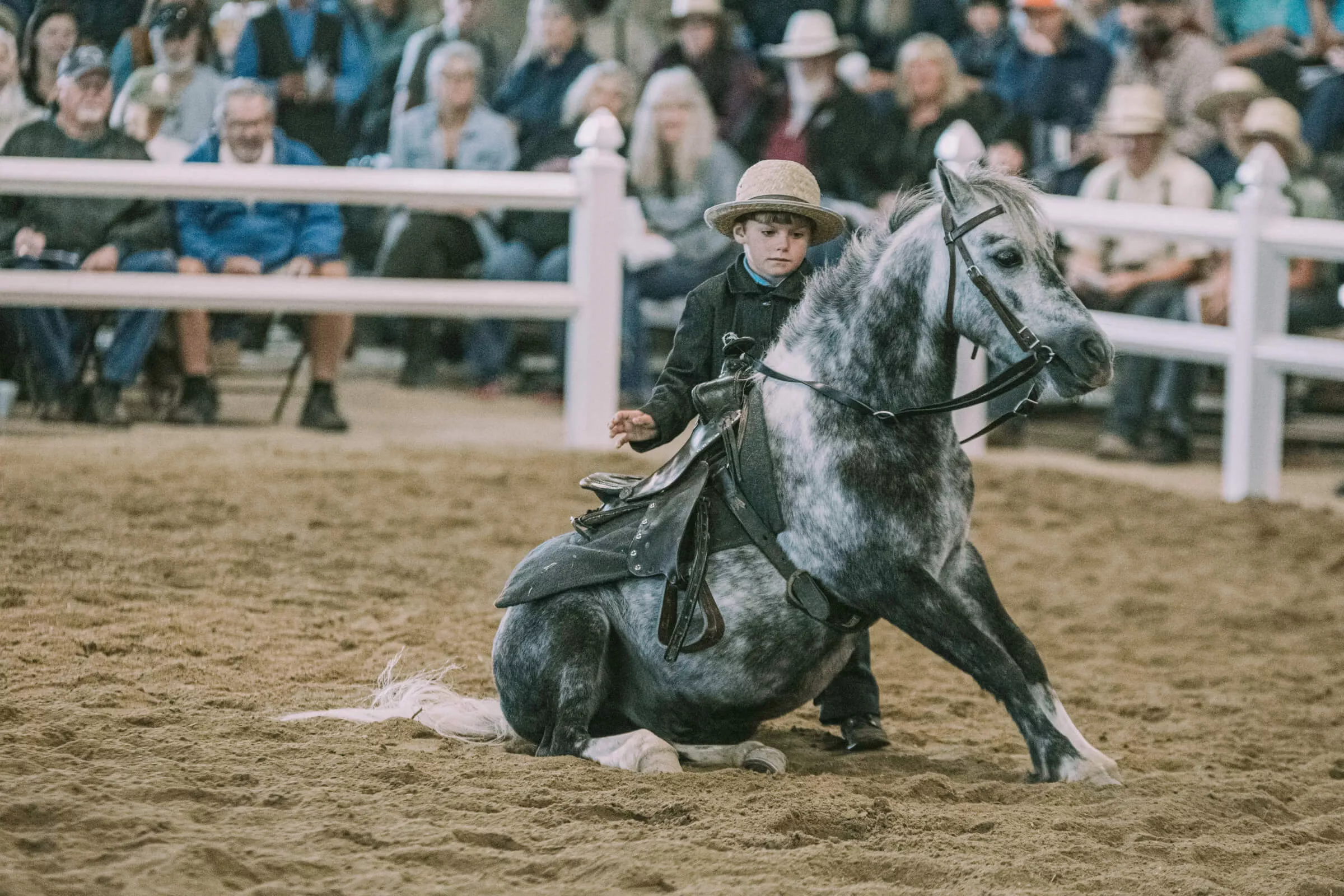 Yoder Brothers Auction Service - Just Plain Business