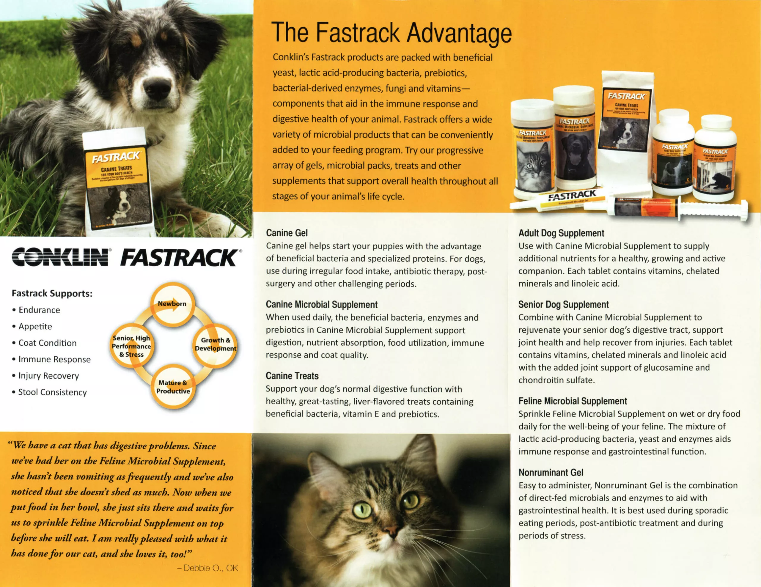 The Bolt Man - Just Plain Business