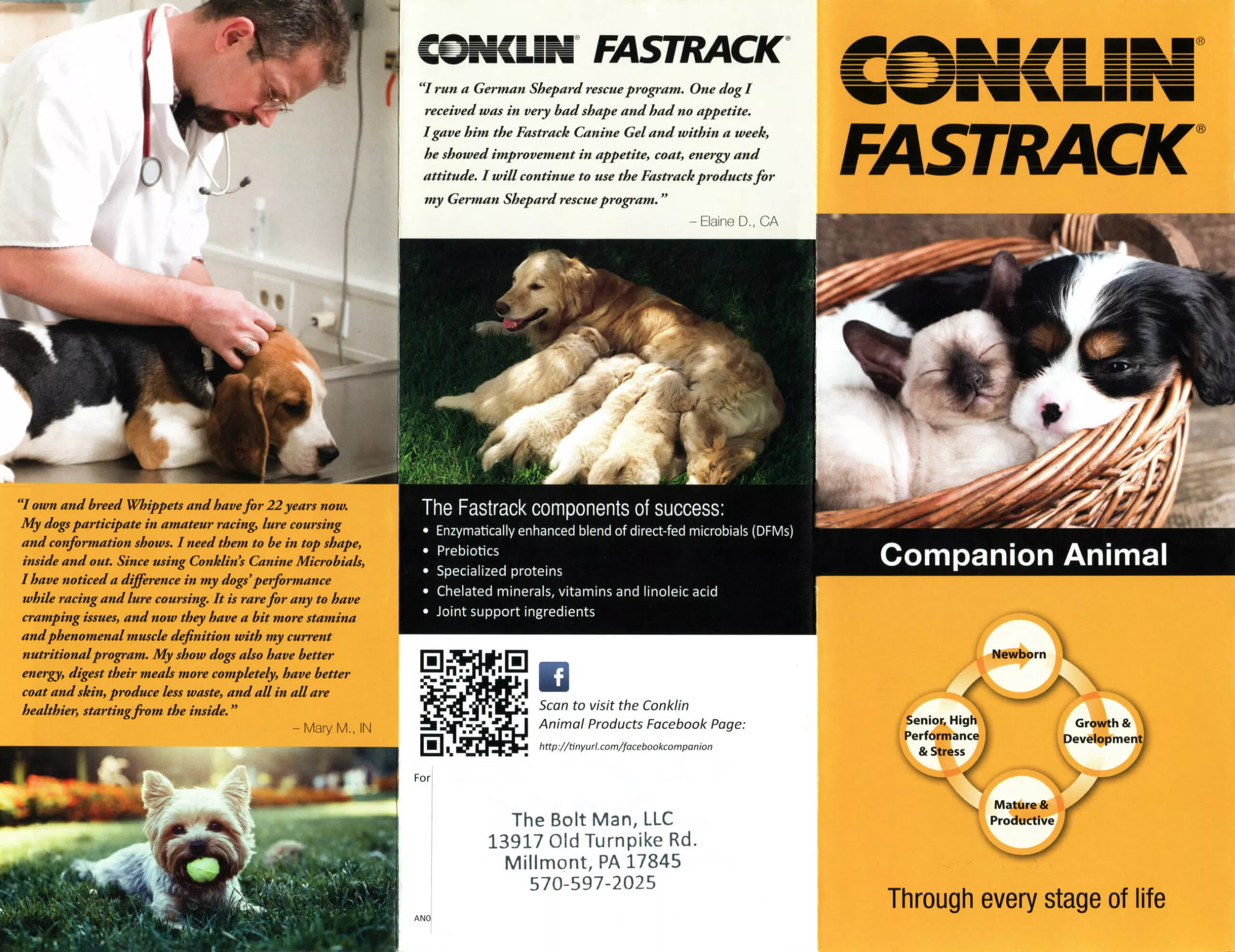 The Bolt Man - Just Plain Business