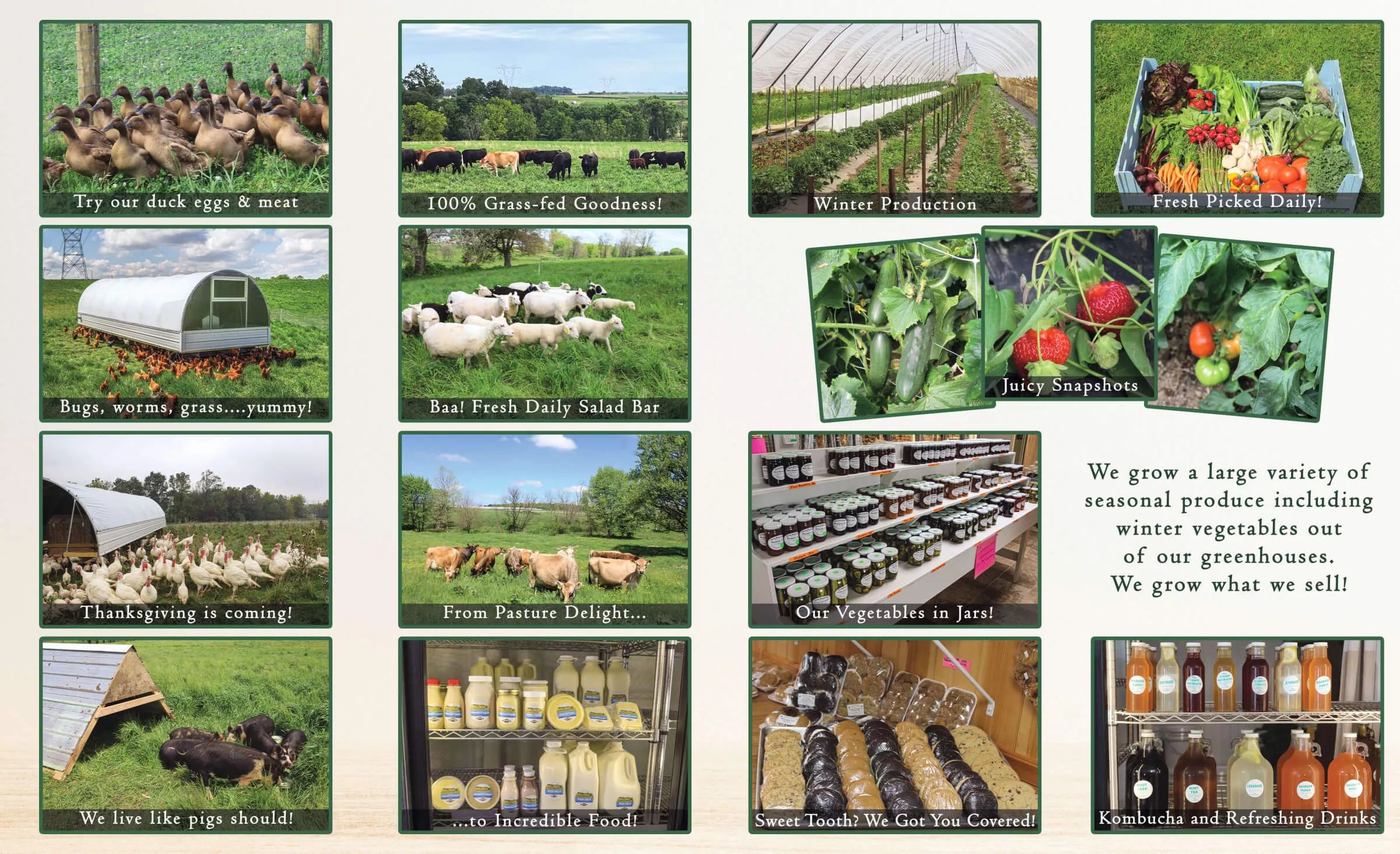 Maple Arch Farm Market - Just Plain Business