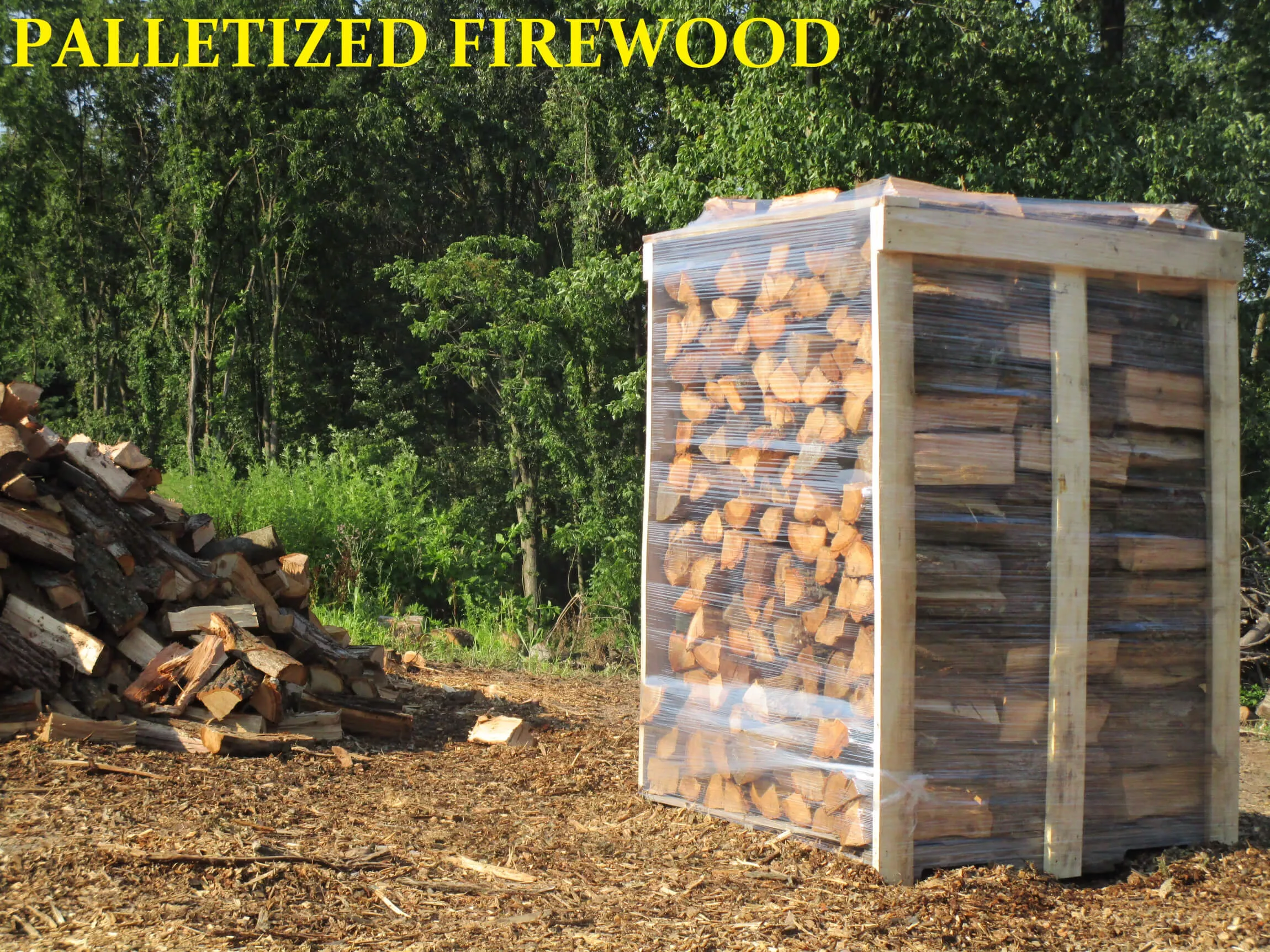 Penn Haven Tree Works - Just Plain Business