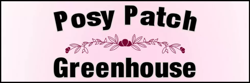 Posy Patch Greenhouse - Just Plain Business
