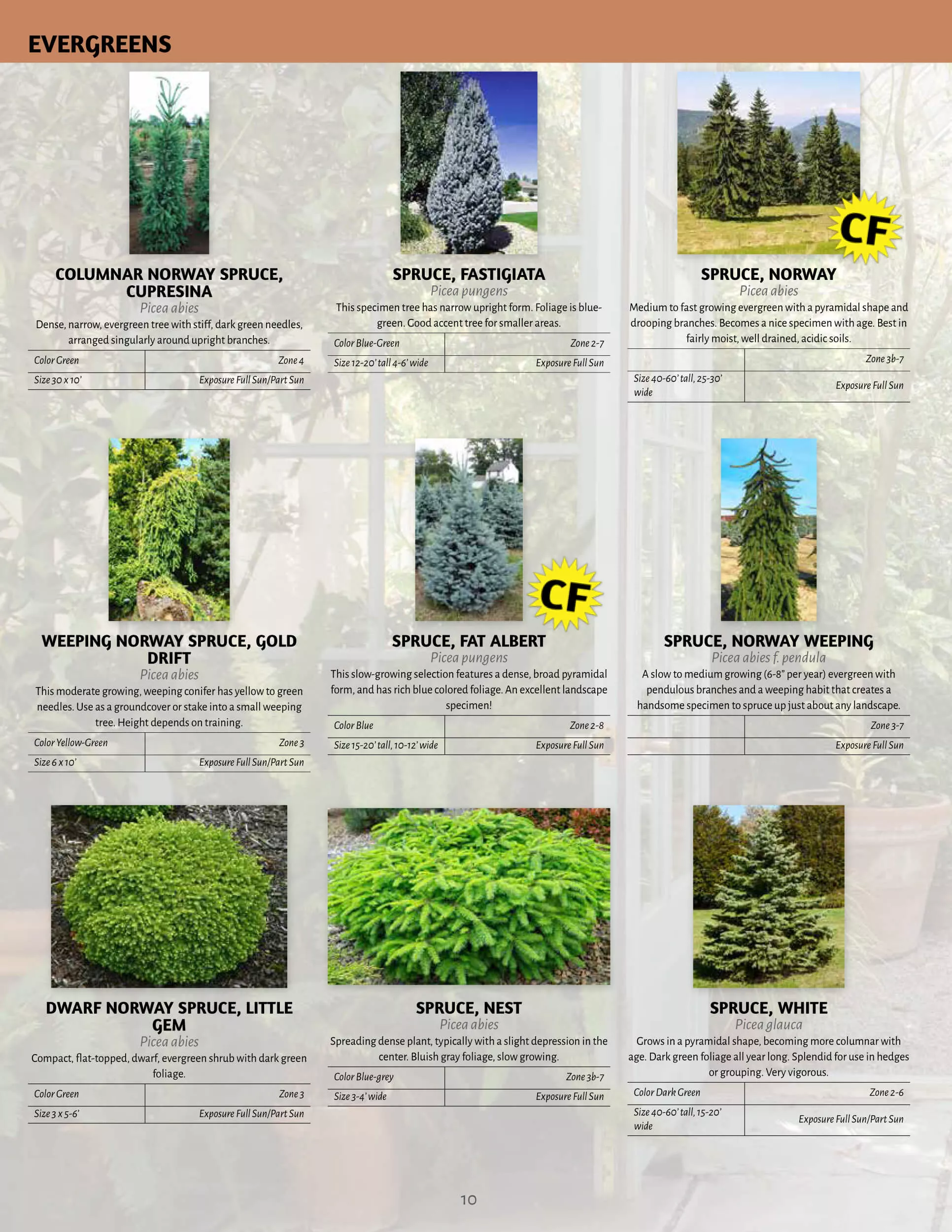 Lakeside Nursery - Just Plain Business