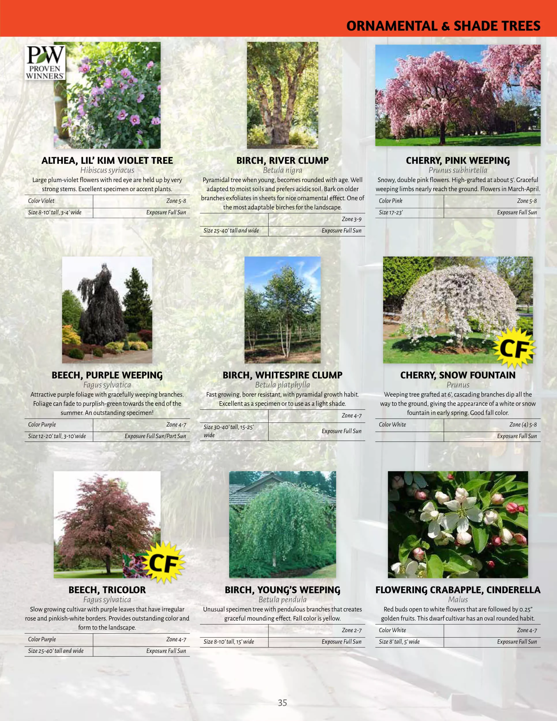 Lakeside Nursery - Just Plain Business