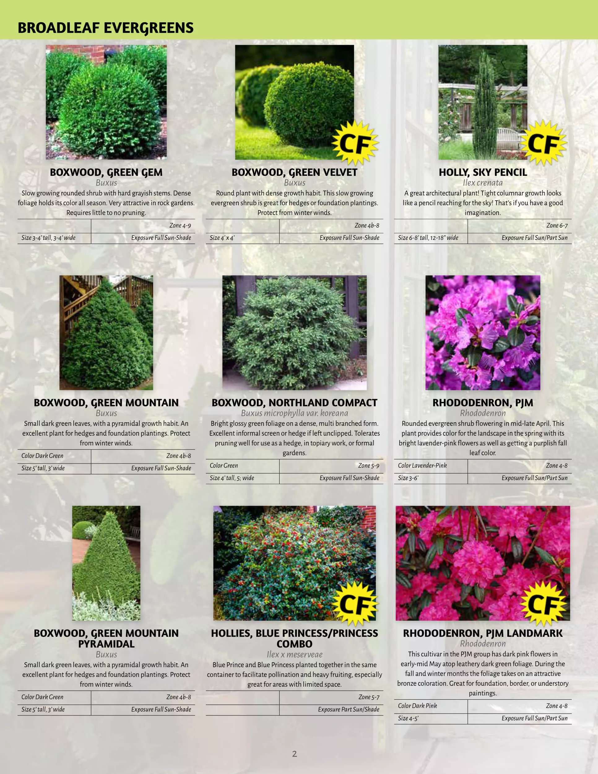 Lakeside Nursery - Just Plain Business