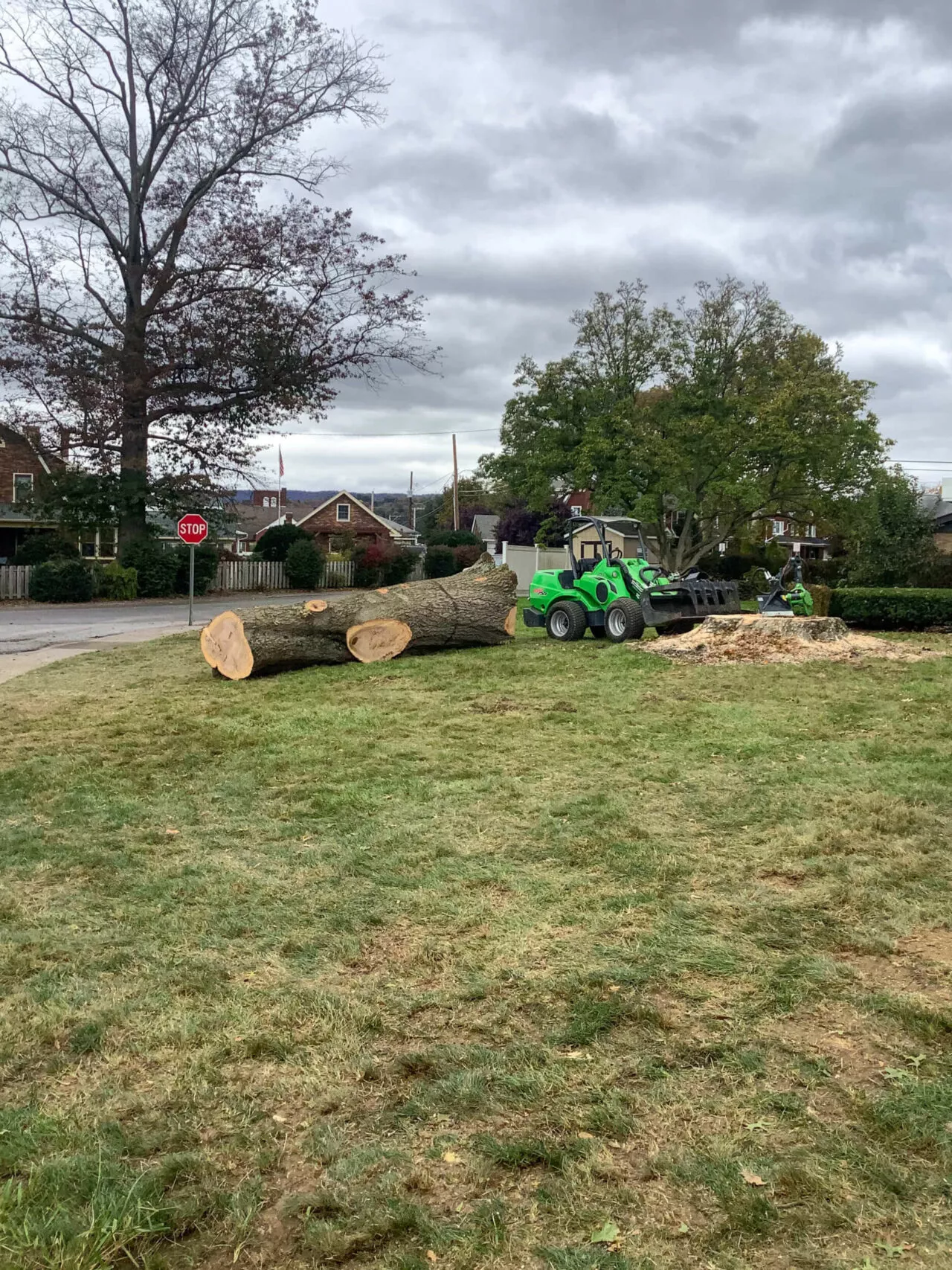 Tipping Timber Tree Removal - Just Plain Business
