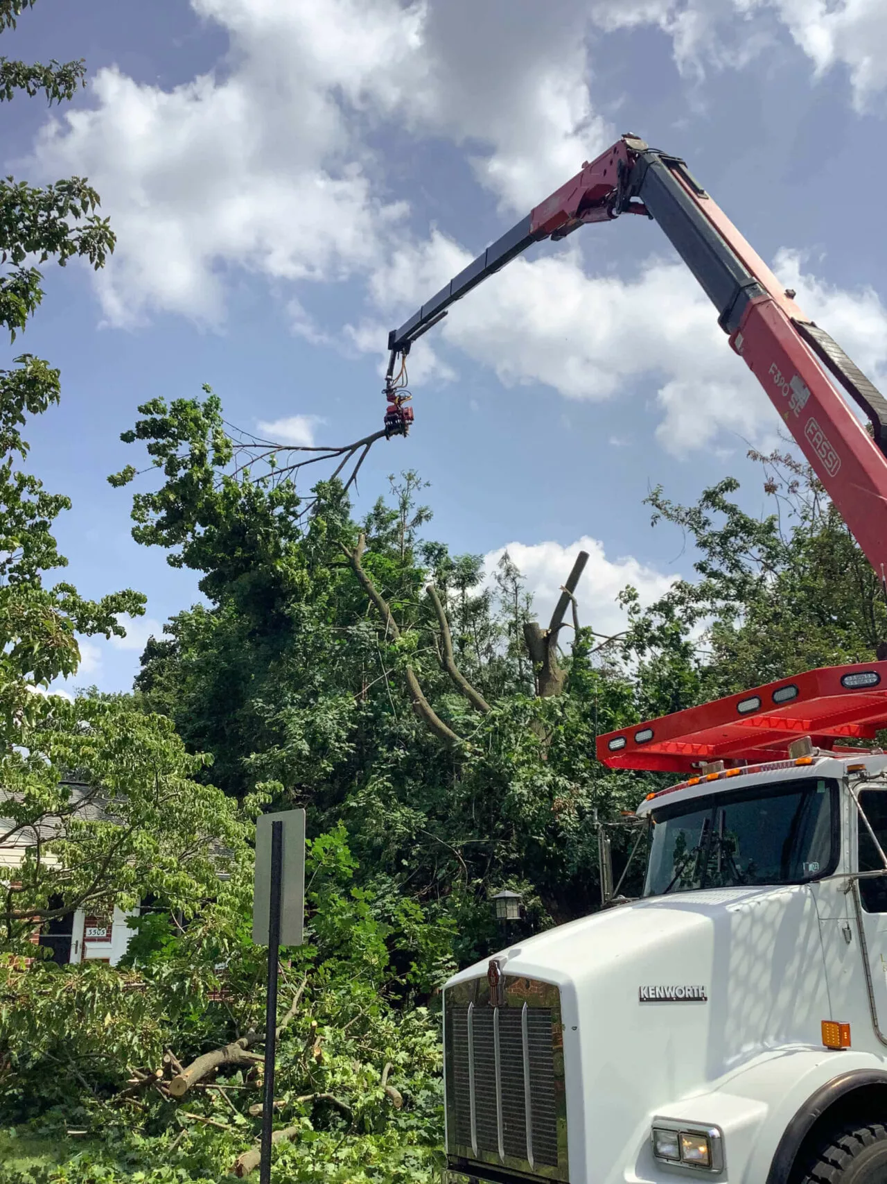 Tipping Timber Tree Removal - Just Plain Business