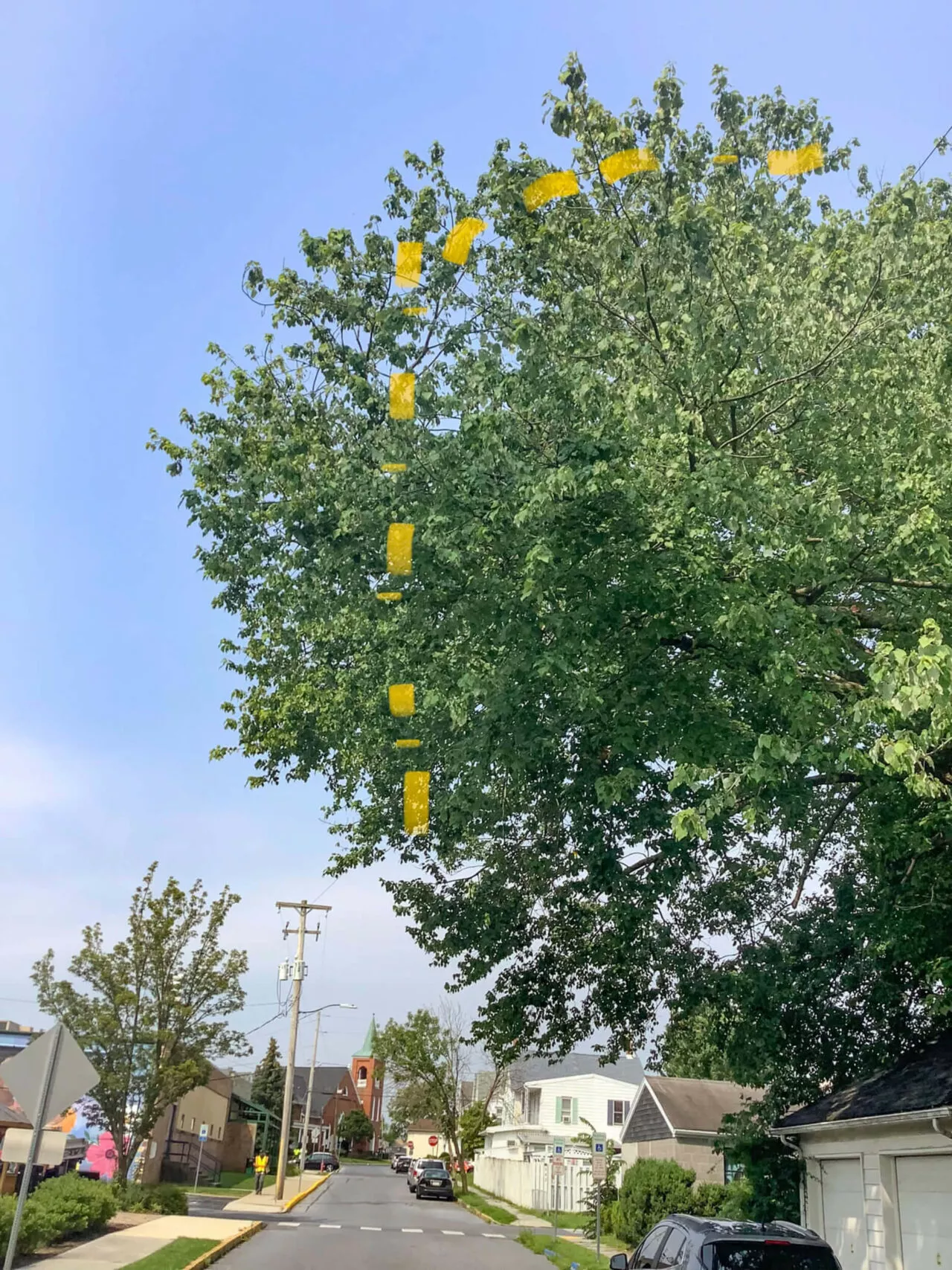 Tipping Timber Tree Removal - Just Plain Business