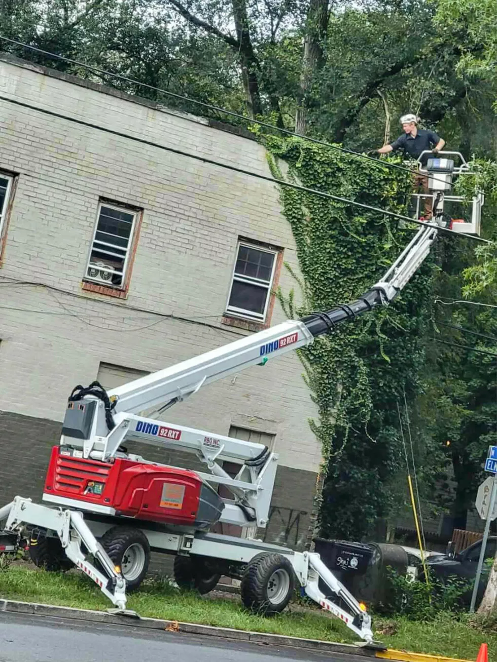 Tipping Timber Tree Removal - Just Plain Business