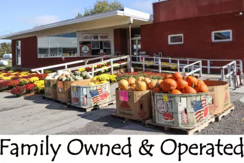 Dutch Country Market - Just Plain Business