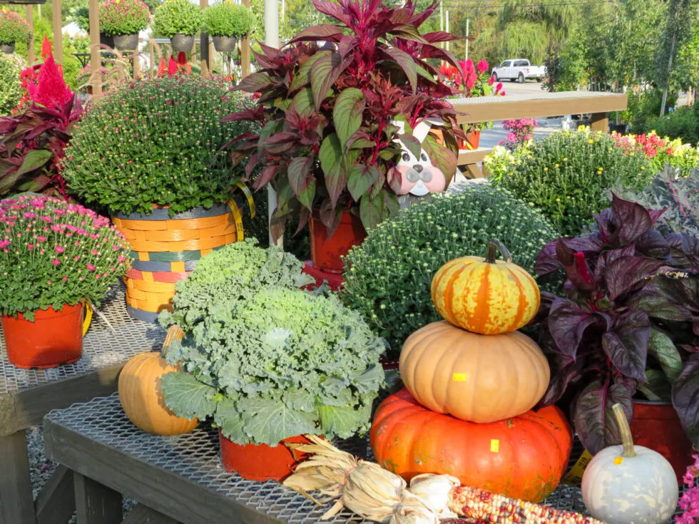 Auker’s Greenhouse - Just Plain Business