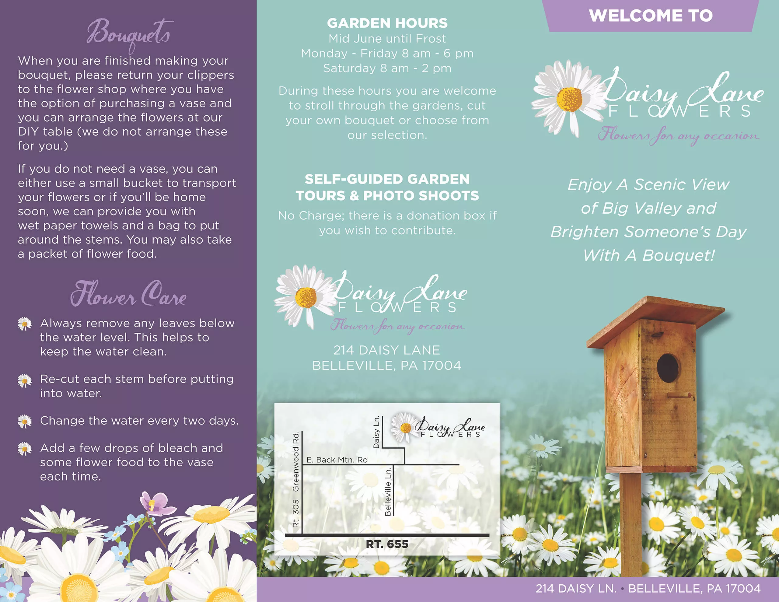 Daisy Lane Flowers - Just Plain Business