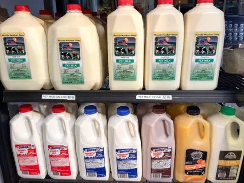 Pioneer General Store - Just Plain Business