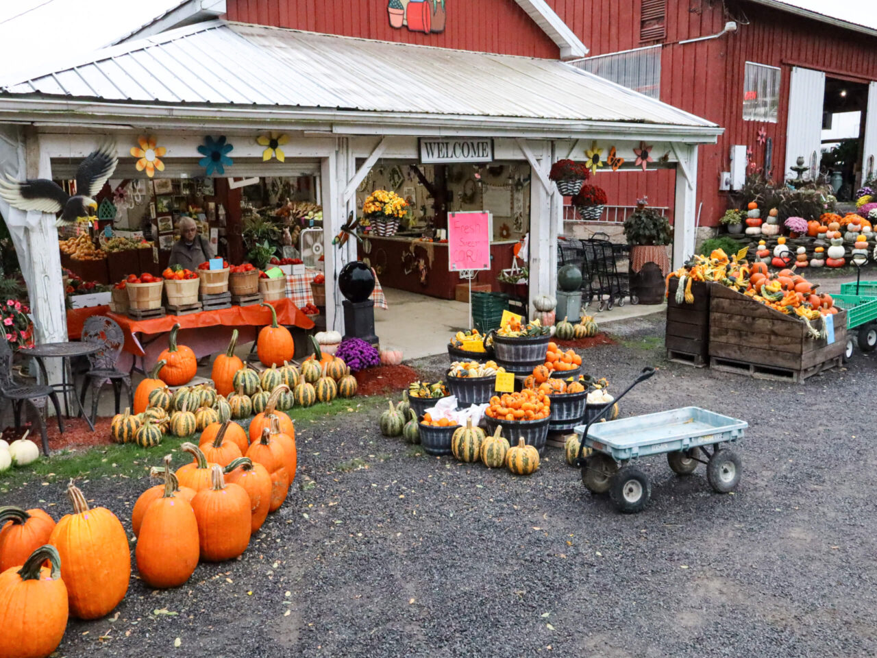 Crystal Valley Produce & Greenhouses - Just Plain Business