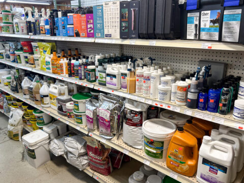 Leid Shoe & Saddlery - Just Plain Business