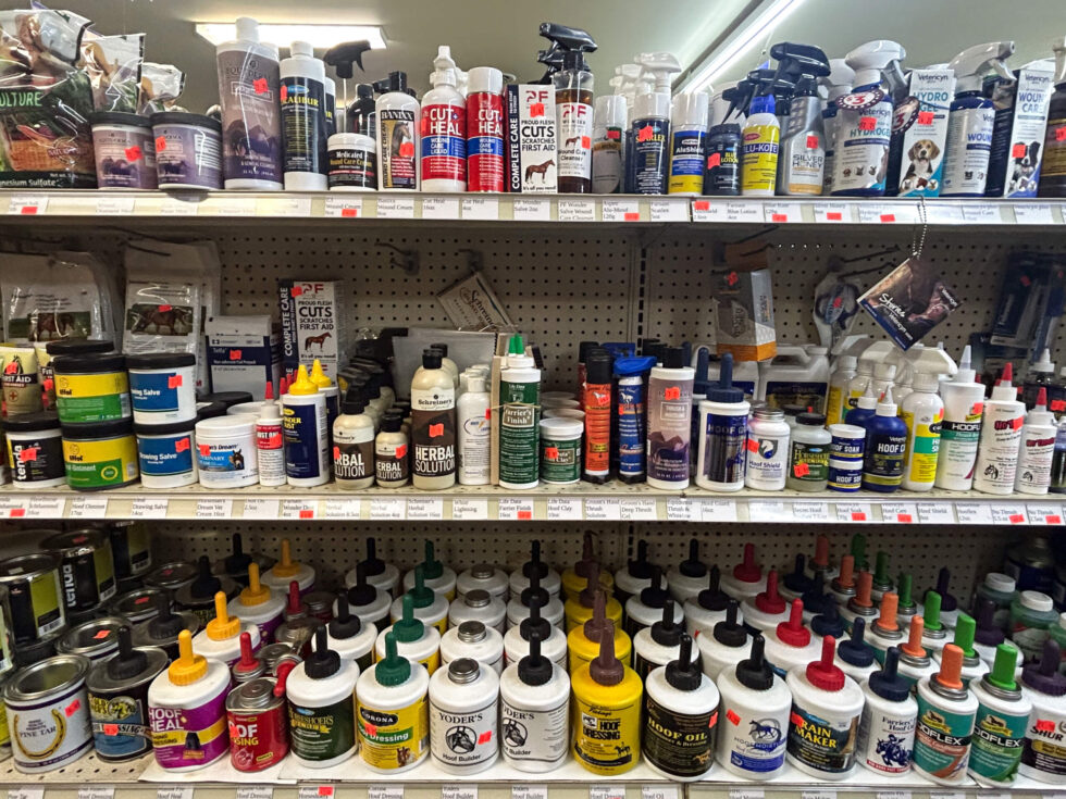 Leid Shoe & Saddlery - Just Plain Business