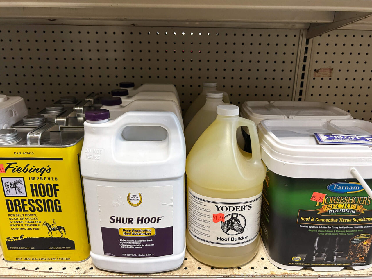 Leid Shoe & Saddlery - Just Plain Business