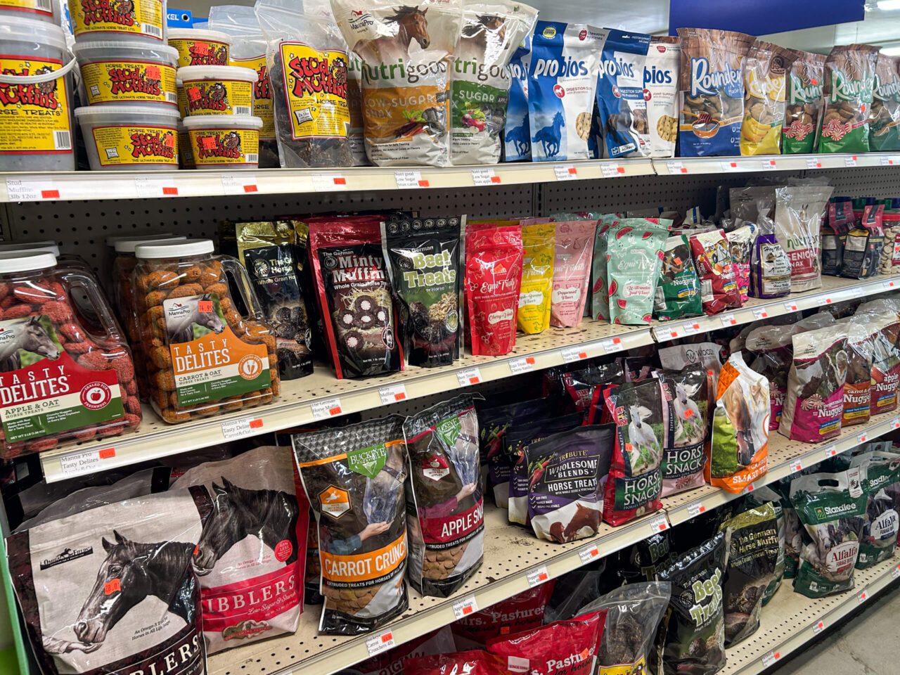 Leid Shoe & Saddlery - Just Plain Business