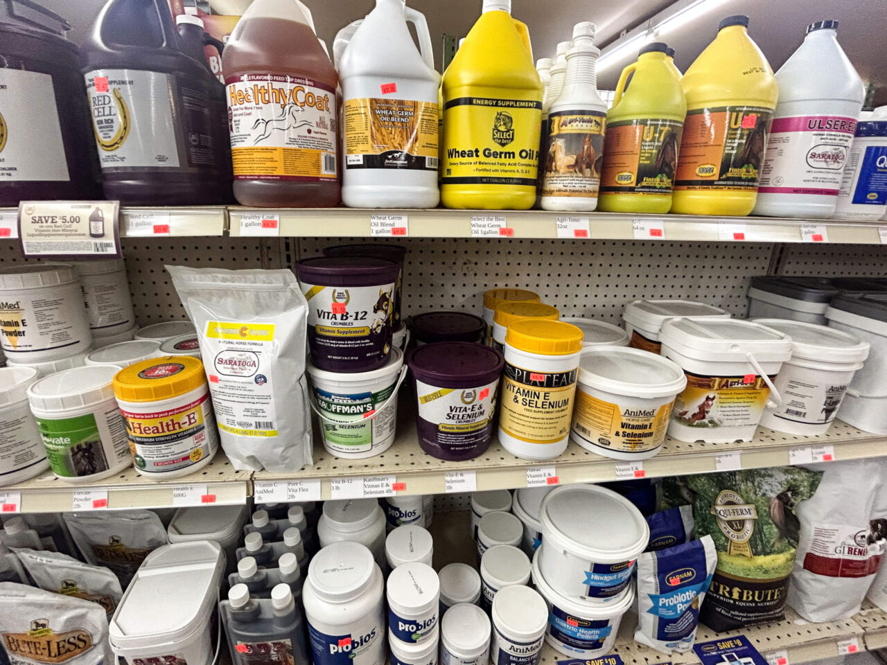 Leid Shoe & Saddlery - Just Plain Business