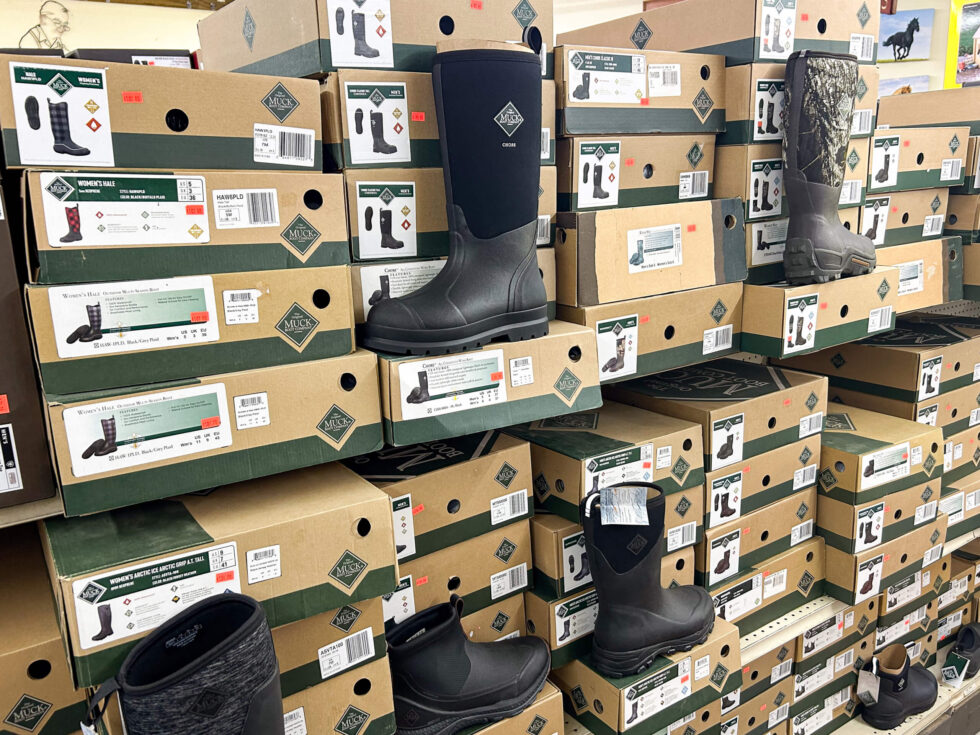 Leid Shoe & Saddlery - Just Plain Business