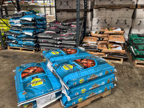 Leid Shoe & Saddlery - Just Plain Business