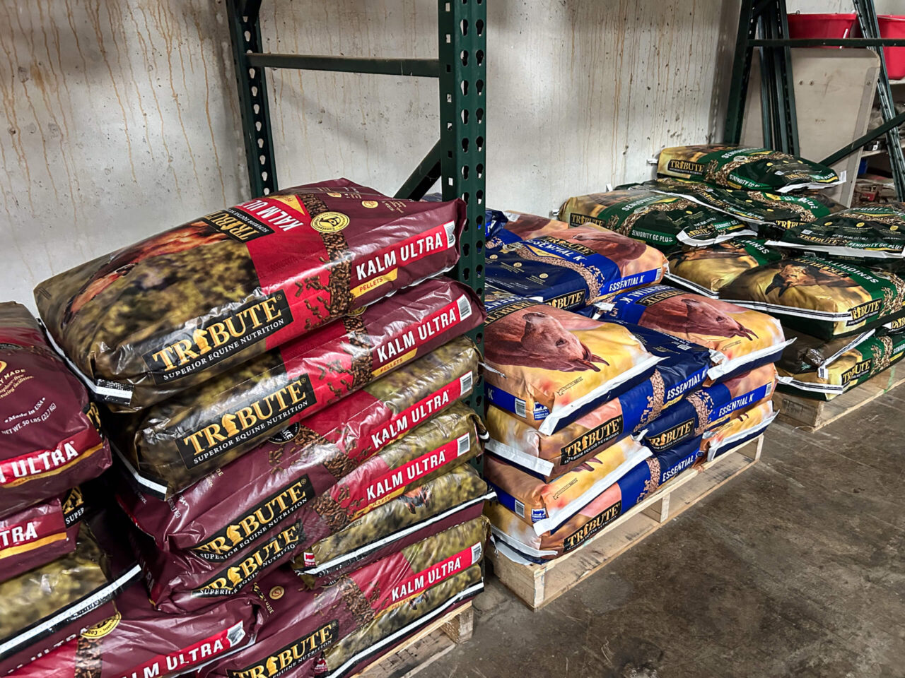 Leid Shoe & Saddlery - Just Plain Business