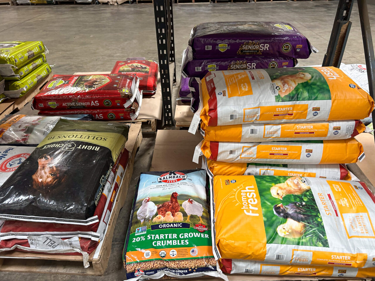 Leid Shoe & Saddlery - Just Plain Business