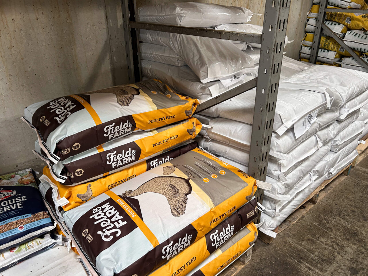 Leid Shoe & Saddlery - Just Plain Business